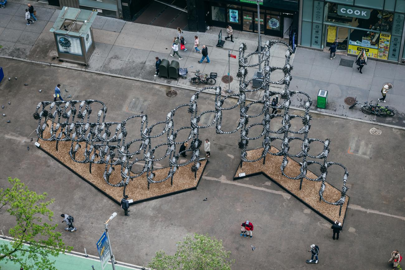 Shaved Portions | Garment District NYC